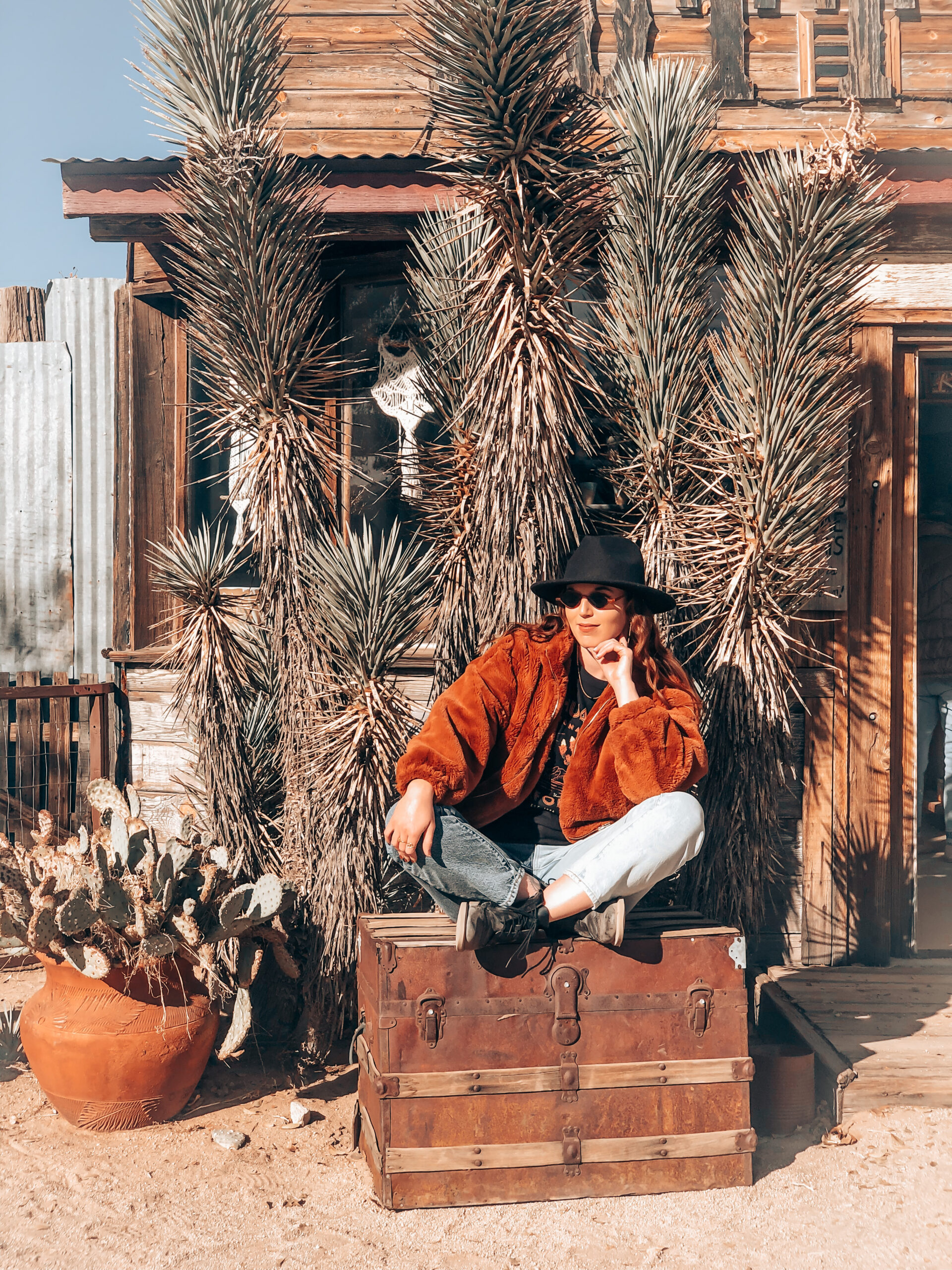 Secret Spots in Joshua Tree: What the Locals Won't Tell You - Out of ...